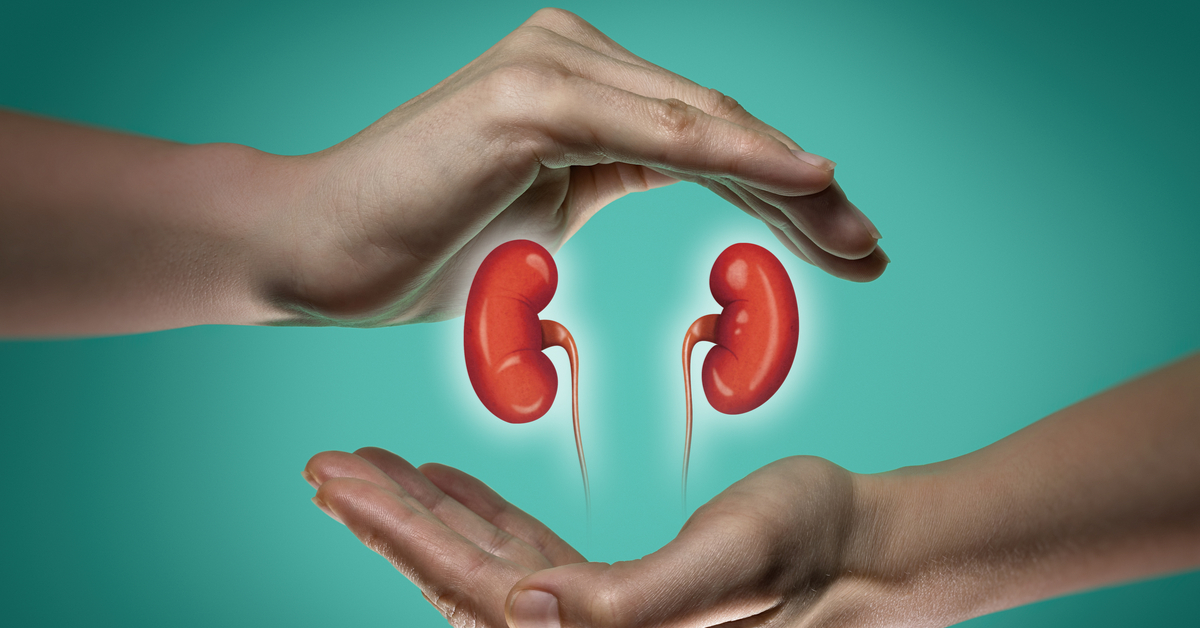 Cuide dos rins alimentando-se melhor – Danamed